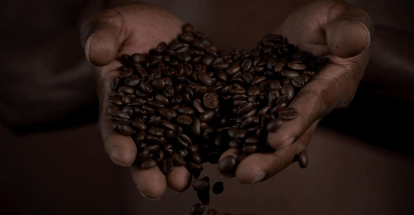 JA Coffee Blog │How to brew Jamaica Blue Mountain Coffee? | JA Coffee